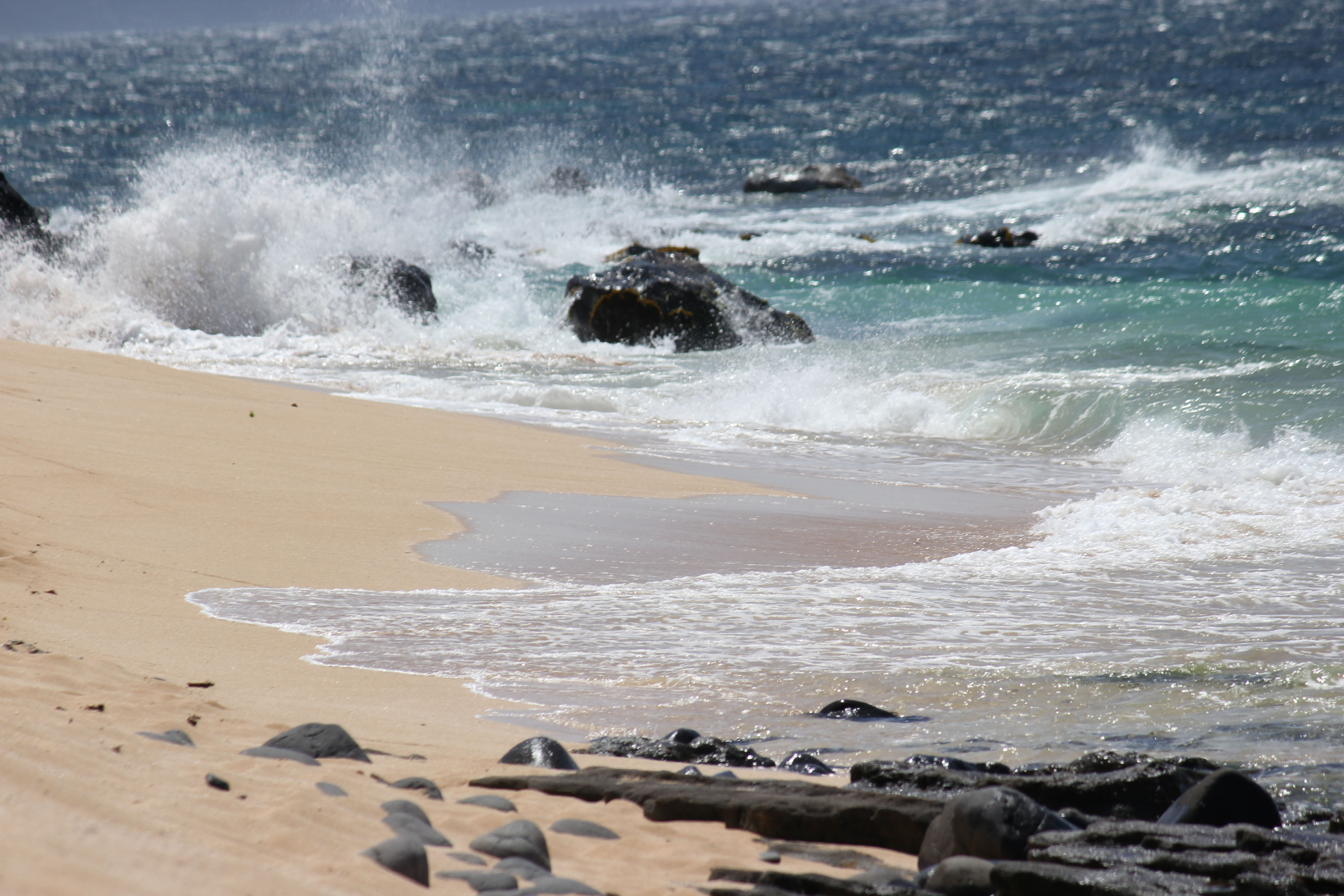 The Daily DX Subscriptions | The Daily DX